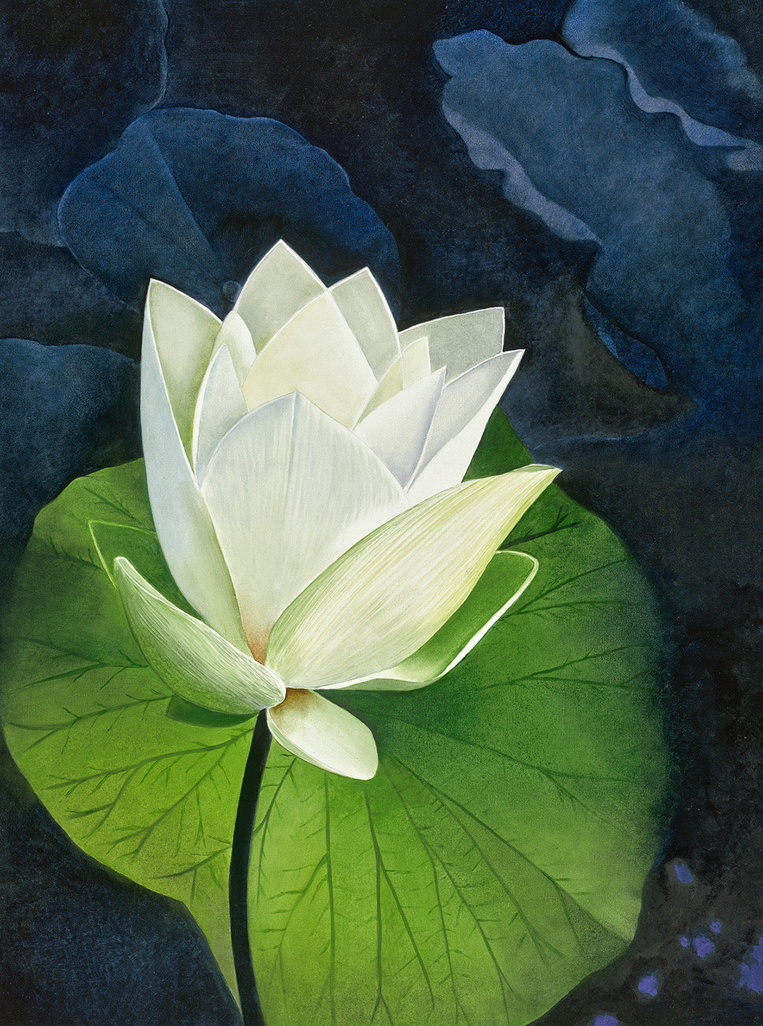 Lisa Remeny – the-remeny-collection